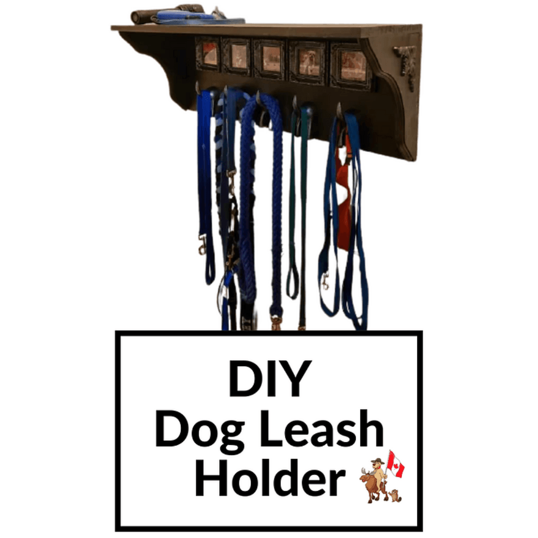 DIY Dog Leash Holder: How to Make a Stylish & Functional Display for ...