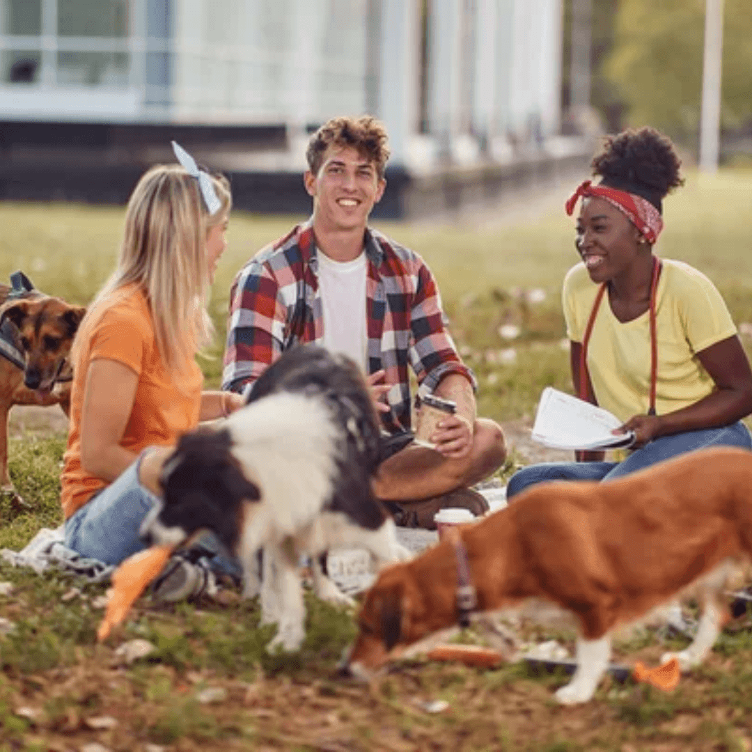 Dog-Eh! Community Boosts Your Sales: Building Extra Value for Your ...